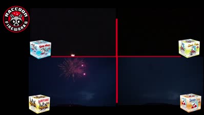 shark-attack-mp4 – Majestic Fireworks LLC.